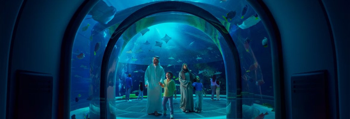 Seaworld From Dubai - Tickets & Offers 2026 - Laravel